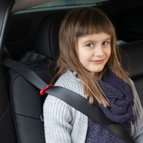 Wombat booster seat - Urban Kanga